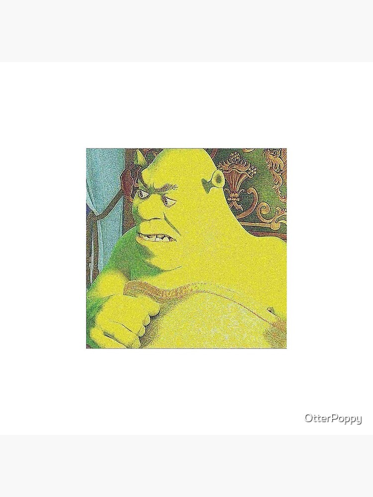 "Deep Fried Shrek" Acrylic Block for Sale by OtterPoppy | Redbubble