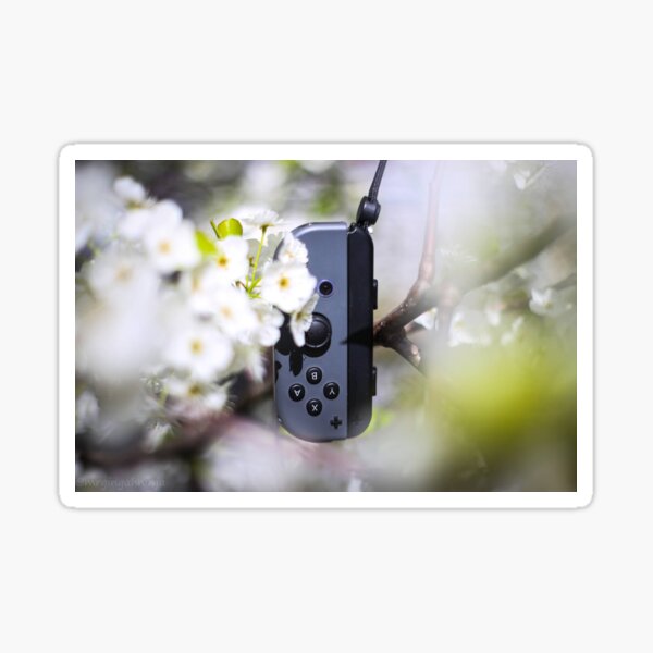 "Nintendo Switch Joycon" Sticker for Sale by MrGingahNinja | Redbubble