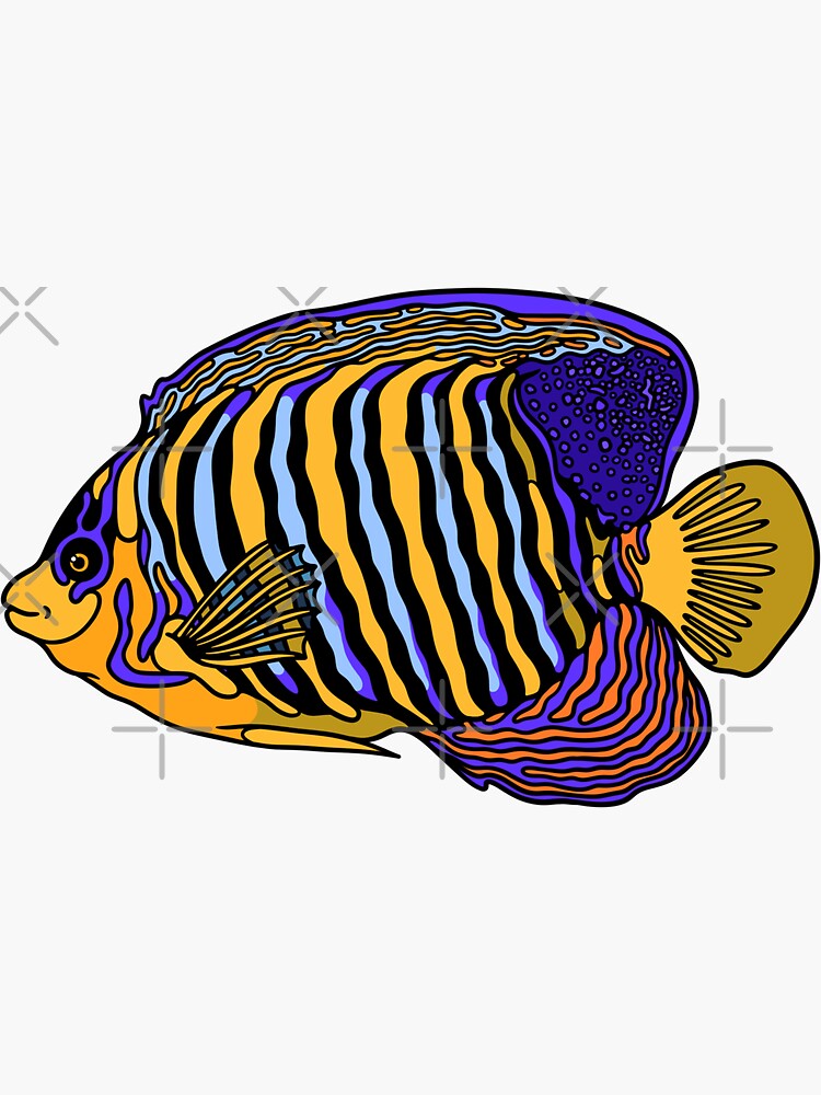 "Regal Angelfish" Sticker for Sale by azzurroarts | Redbubble