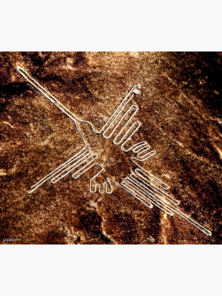 Hummingbird Nazca Tattoos