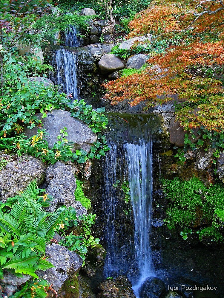 "Japanese Garden Palette" by Igor Pozdnyakov | Redbubble