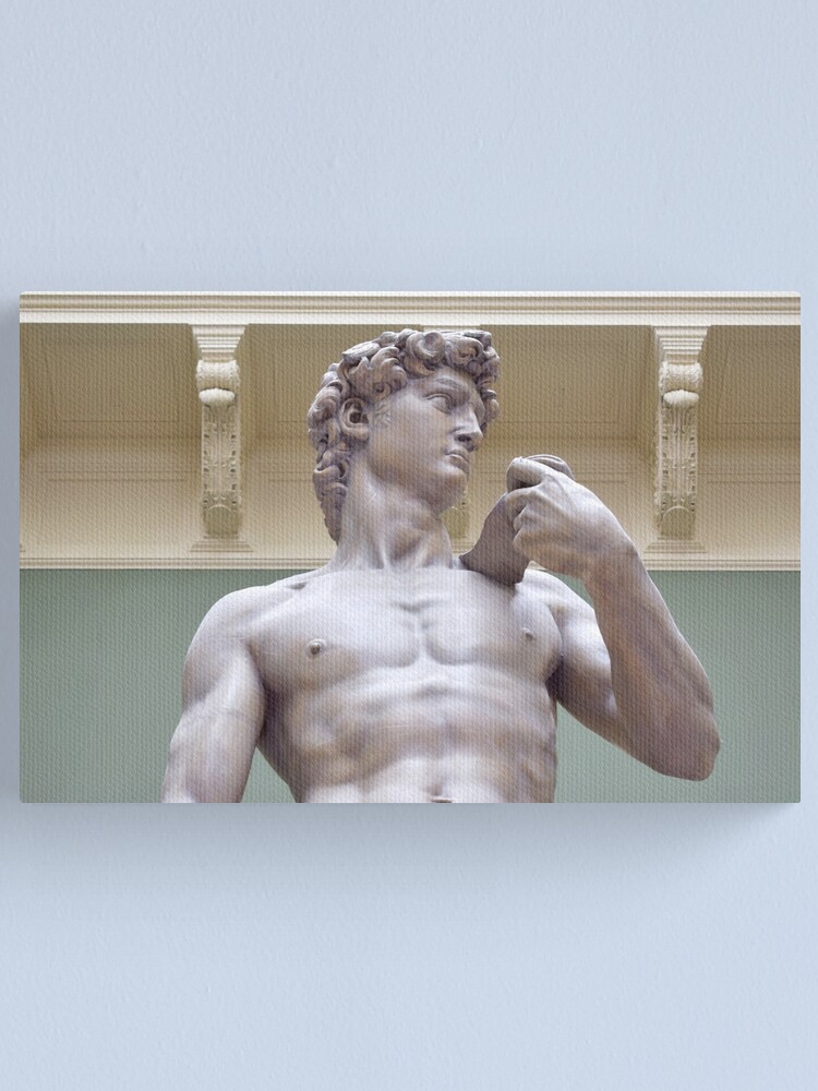 "Michelangelo's David" Canvas Print for Sale by ZoologyStudy | Redbubble