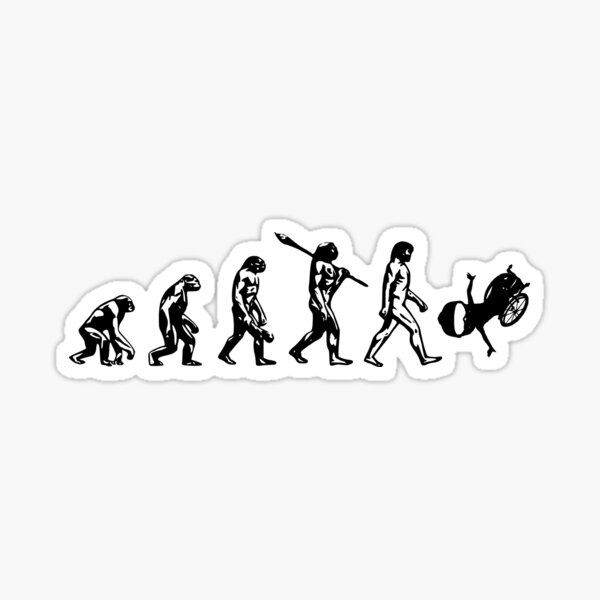 "The Next Step in Evolution - Wheelchair" Sticker for Sale by Ms-Bees ...