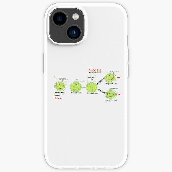 "Mitosis - Somatic cell division." iPhone Case for Sale by ikshvaku ...