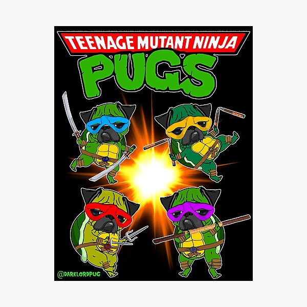 "Teenage Mutant Ninja Pugs" Photographic Print for Sale by darklordpug ...
