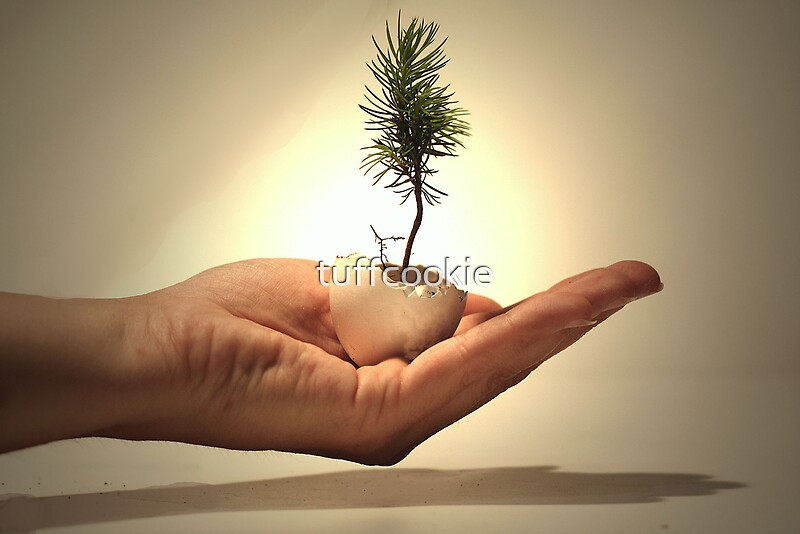 "New Growth Gets A Helping Hand" by tuffcookie | Redbubble