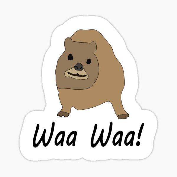 "Cute Hyrax Waa Waa Sticker" Sticker for Sale by SlinkySlingin | Redbubble