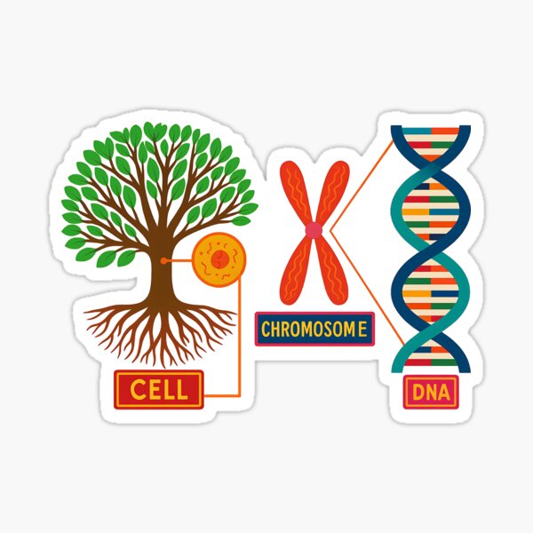"Bold DNA Chromosome Art – Science Meets Creativity" Sticker for Sale ...