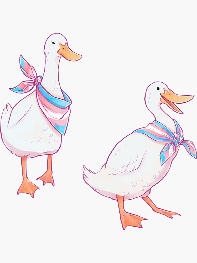 "Trans Ducks Stickers" Sticker by vainglory | Redbubble