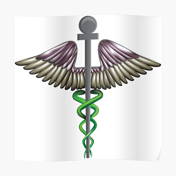 Hippocratic Oath Posters | Redbubble