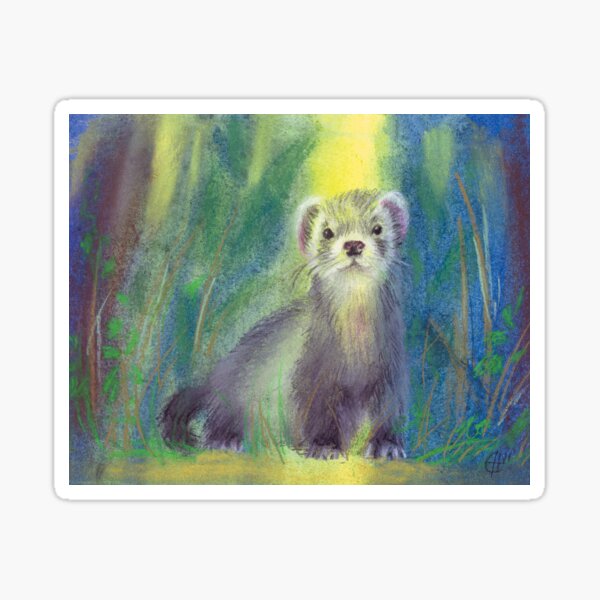 "European polecat" Sticker by NatalyaYeshch | Redbubble