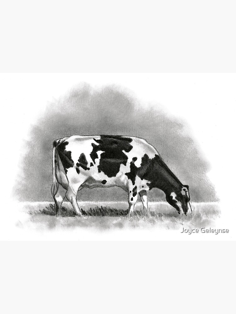 Holstein Dairy Cow Drawing