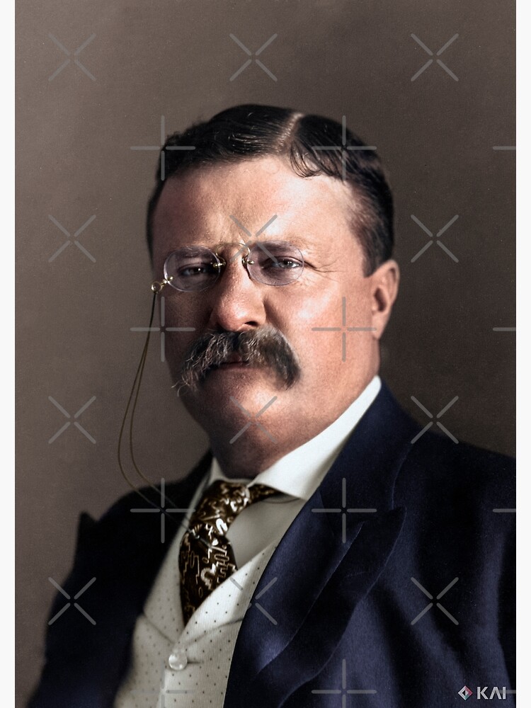 "President Theodore Roosevelt, 1904 colorized" Art Print for Sale by ...