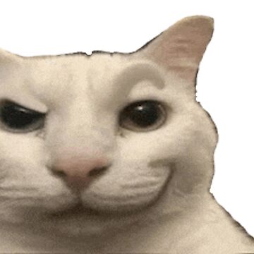 "sus cat sticker " Sticker for Sale by Charlearts | Redbubble