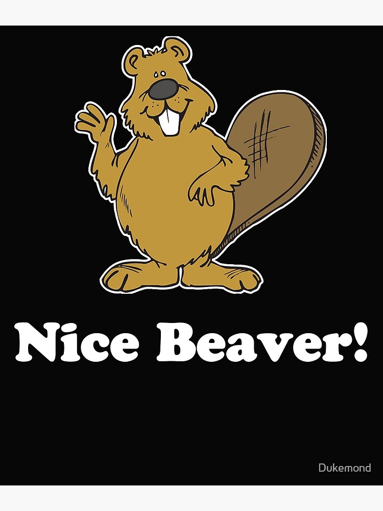 "Nice Beaver funny Joke Movie Quote Design" Poster by Dukemond | Redbubble