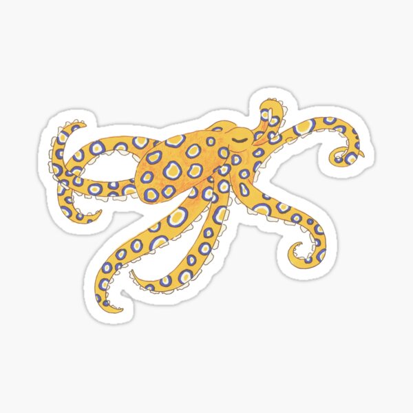 "The Blue-Ringed Octopus" Sticker for Sale by rachelcowley | Redbubble