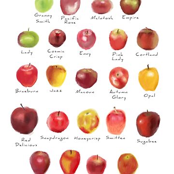 "Apples and text" Poster for Sale by thehat24 | Redbubble