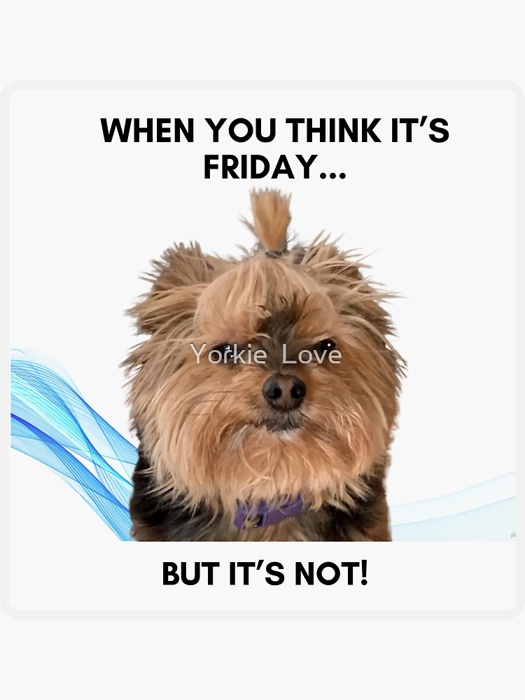 Lustiges Freitagsmeme