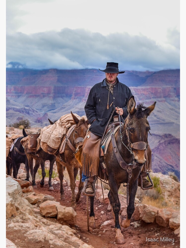 "Skeleton Point" Poster by Milleyi | Redbubble