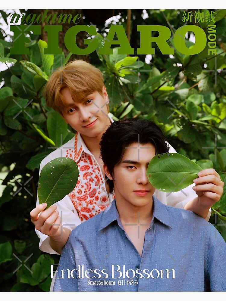 "SmartBoom TOP FORM the series BL couple Jin Akin Smart Boom Figaro ...