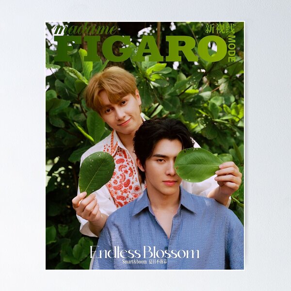 "SmartBoom TOP FORM the series BL couple Jin Akin Smart Boom Figaro ...