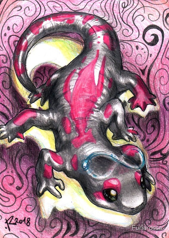 "Six-legged magic salamander" by Furiarossa | Redbubble