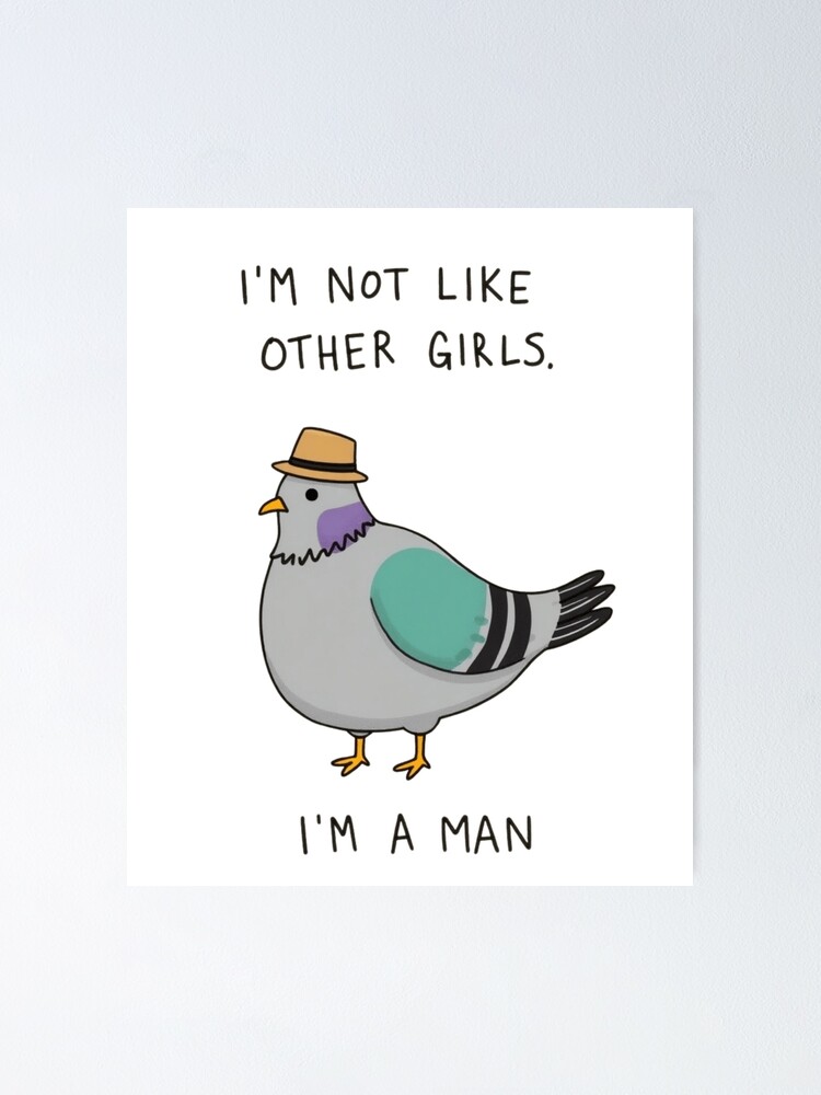 Pigeon Funny Quotes