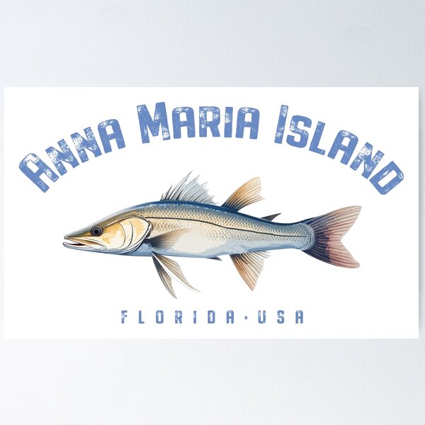 "Anna Maria Island Florida Snook Fishing Design" Poster for Sale by Futurebeachbum | Redbubble