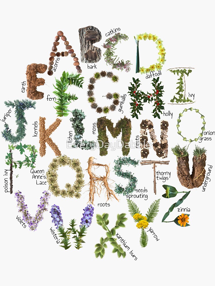 "Forest Alphabet - Botanical ABC - Woodland Nursery" Sticker for Sale ...