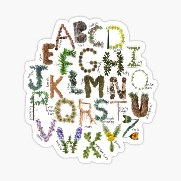 "Forest Alphabet - Botanical ABC - Woodland Nursery" Sticker for Sale ...