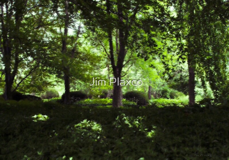 « Summer Day Forest Scene » par Jim Plaxco | Redbubble