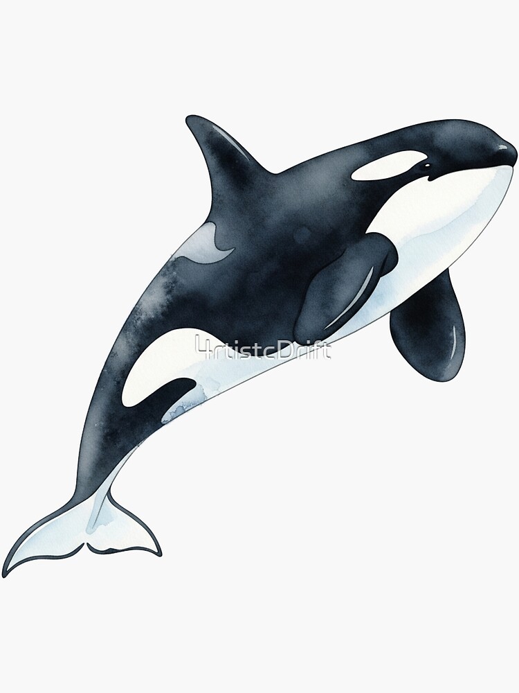 "Orca Design" Sticker for Sale by 4rtistcDrift | Redbubble