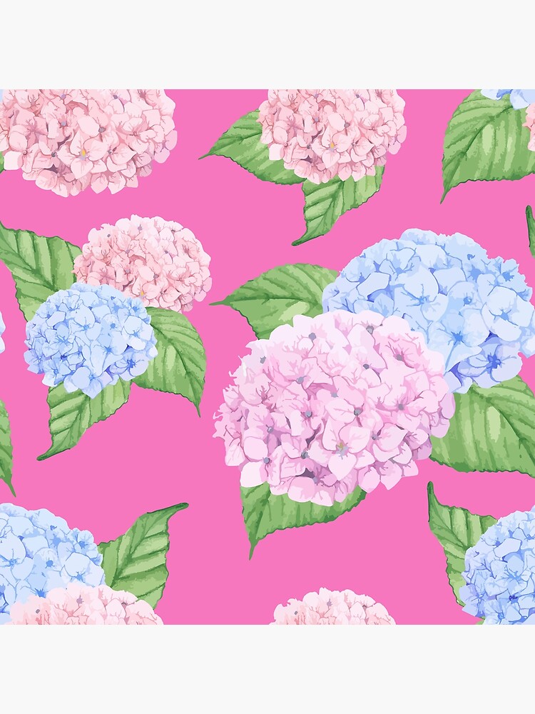 "Bright Pink & Blue Hydrangea Floral Print" Art Print by ...