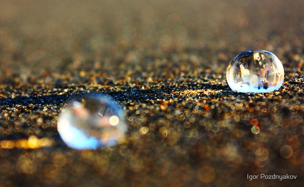 "Hatching II. San Francisco, Lincoln Park Beach" by Igor Pozdnyakov ...