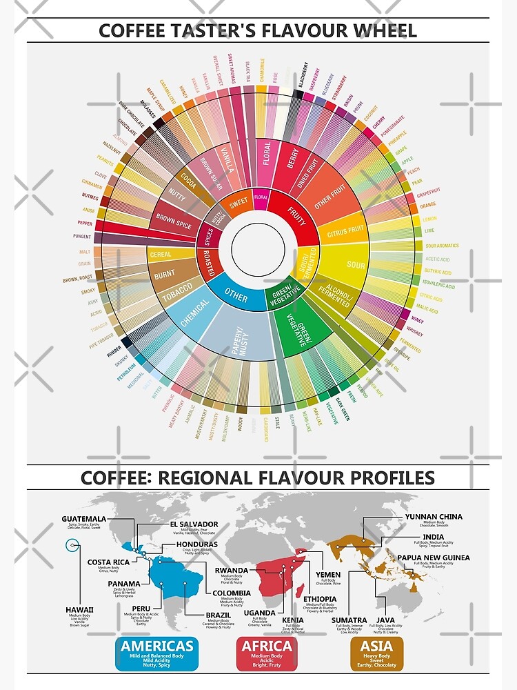 "Coffee Flavour Profiles: Flavour Wheel and Regional Maps" Poster for ...