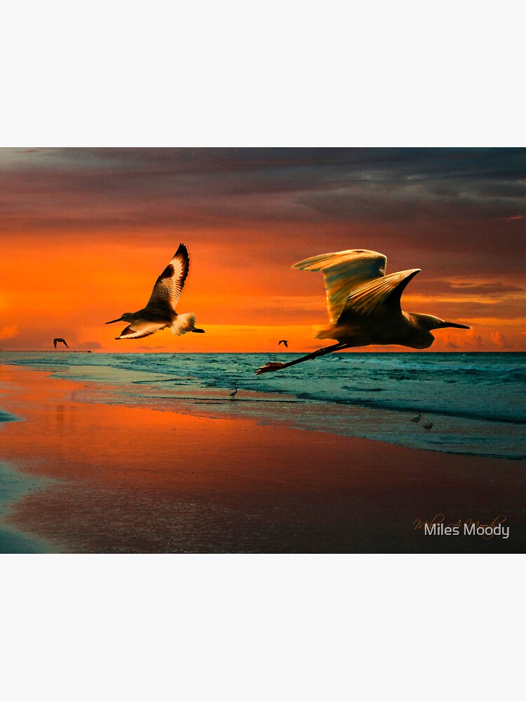 "Near Miss" Sticker by milesmoody | Redbubble