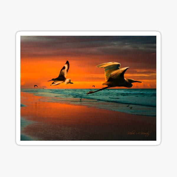 "Near Miss" Sticker by milesmoody | Redbubble