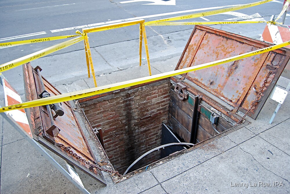 "one of Sacramento sidewalk freight elevator" by Lenny La Rue, IPA ...