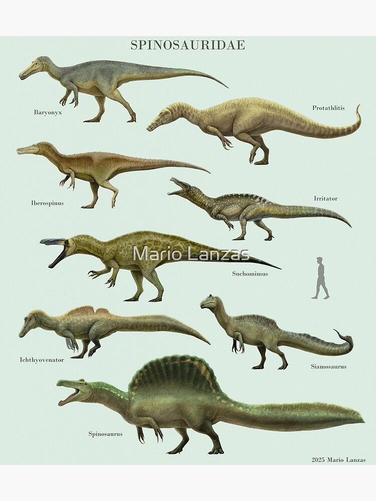 "SPINOSAURIDAE. Spinosaurus family dinosaurs. paleoart" Poster for Sale ...