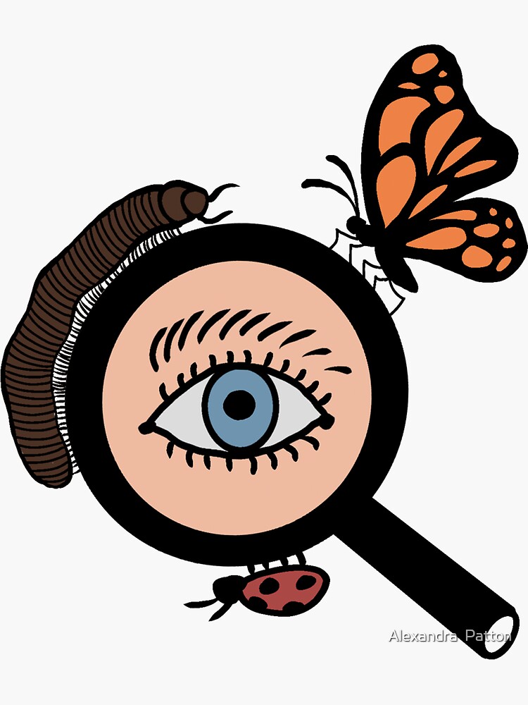 "Bug's Eye View" Sticker for Sale by alexandrapatton | Redbubble