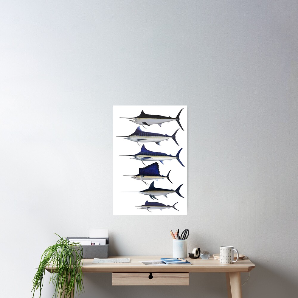 "Australia's Billfish" Poster by vincedoranart | Redbubble