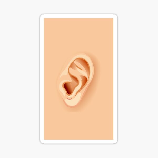 "A Human Ear Close Up" Sticker by tato69 | Redbubble