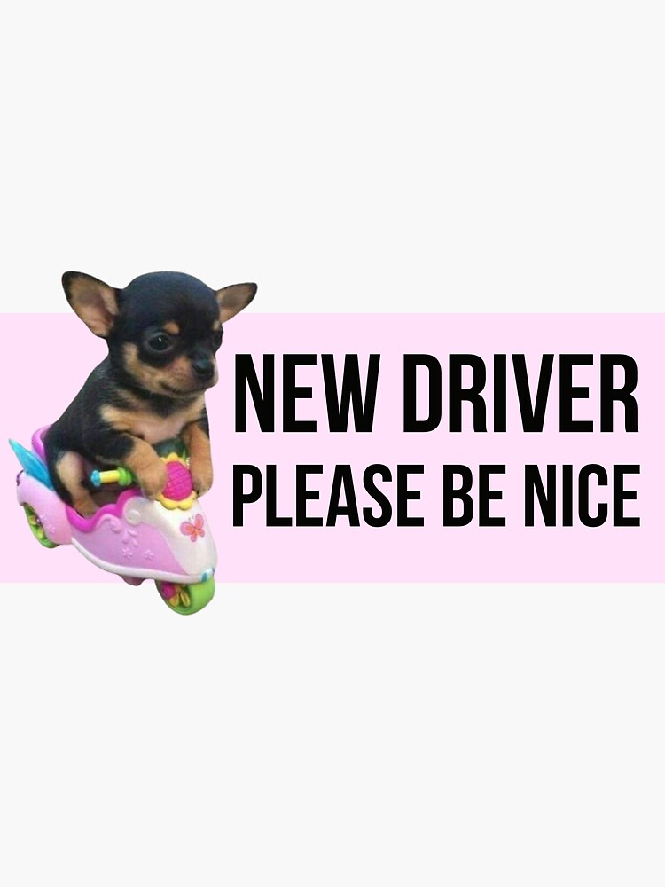 "New Driver Please Be Nice" Sticker for Sale by AmandaLocks | Redbubble