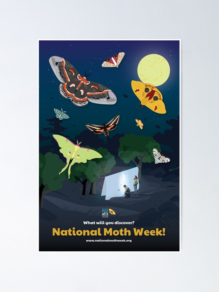 "National Moth Week Poster" Poster for Sale by friendsebec | Redbubble