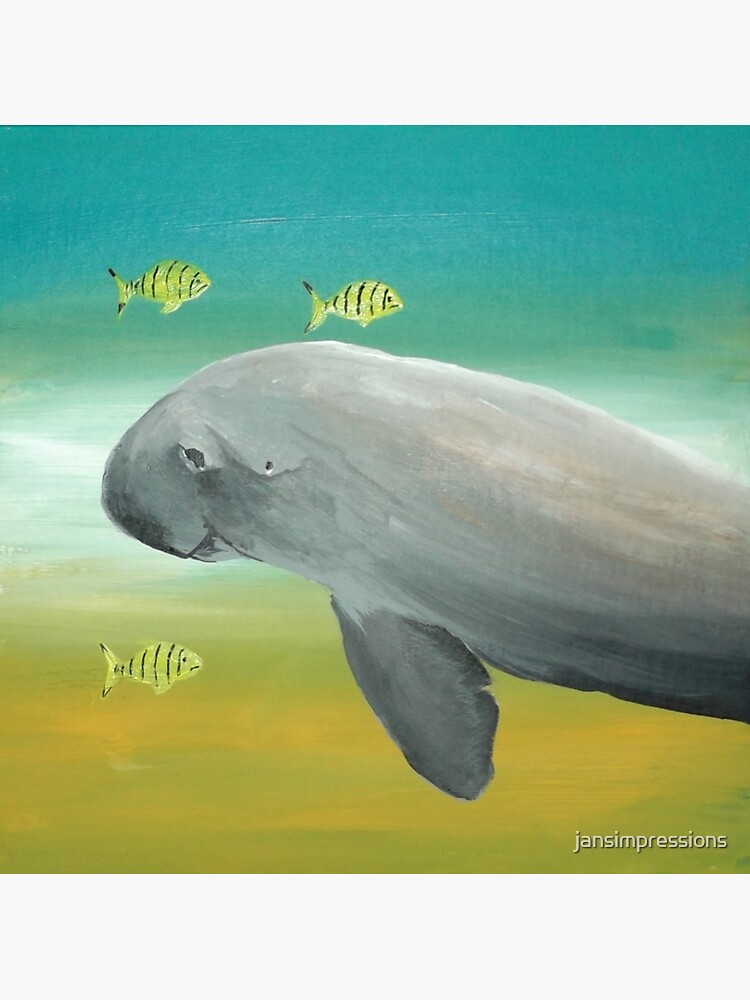 "DUGONG" Poster for Sale by jansimpressions | Redbubble