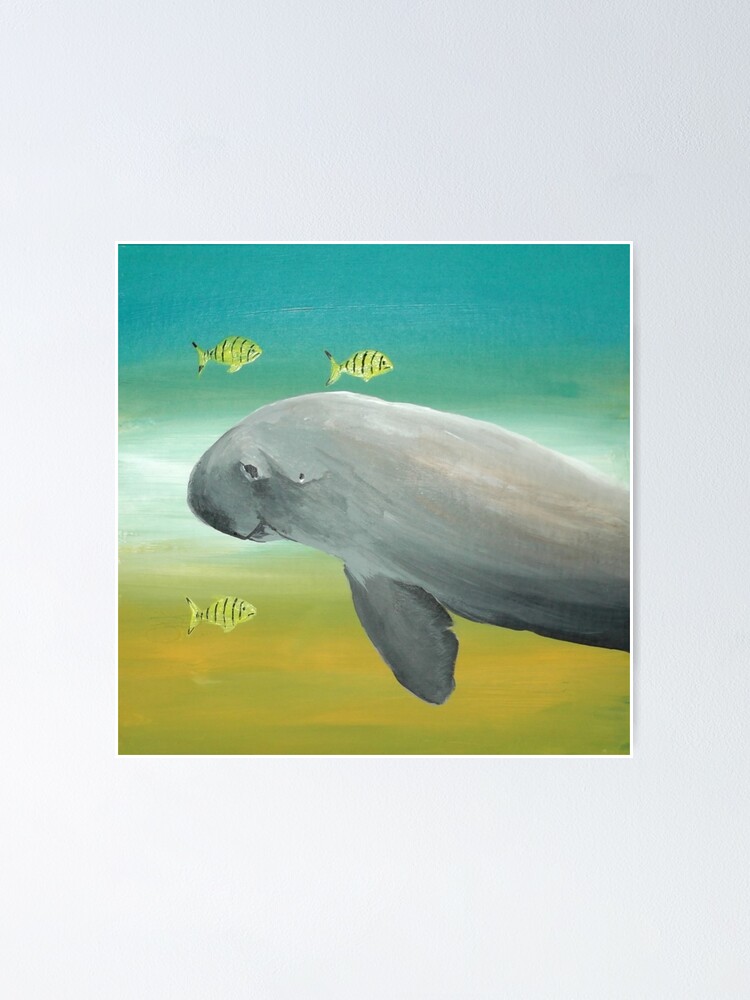 "DUGONG" Poster by jansimpressions | Redbubble
