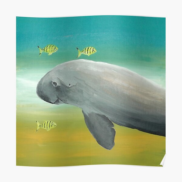 "DUGONG" Poster by jansimpressions | Redbubble