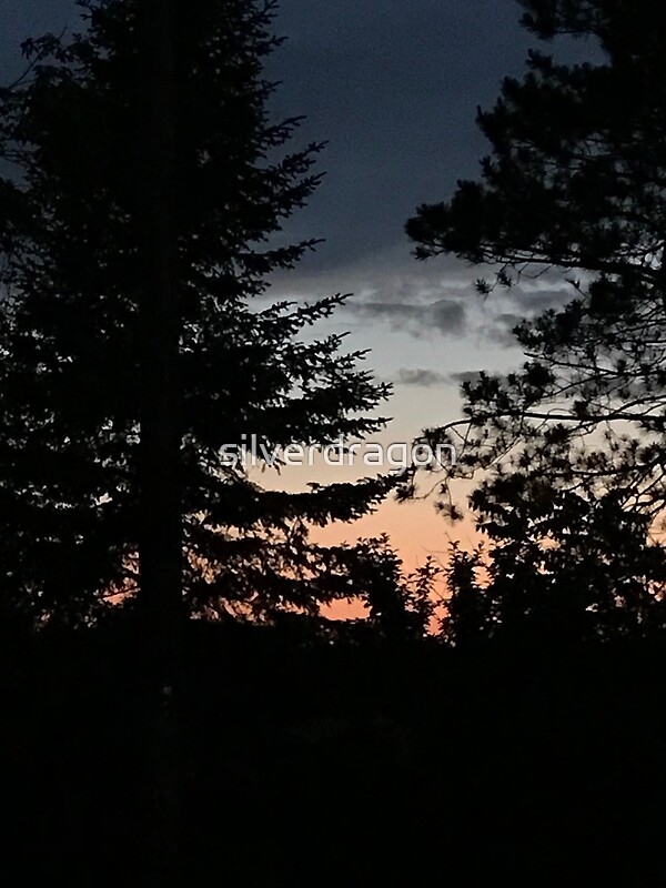"Red White and Blue Sunset Through Trees" by silverdragon | Redbubble