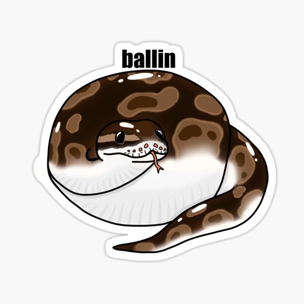 "Chunky Ballin Ball Python" Sticker for Sale by CritterStudio | Redbubble