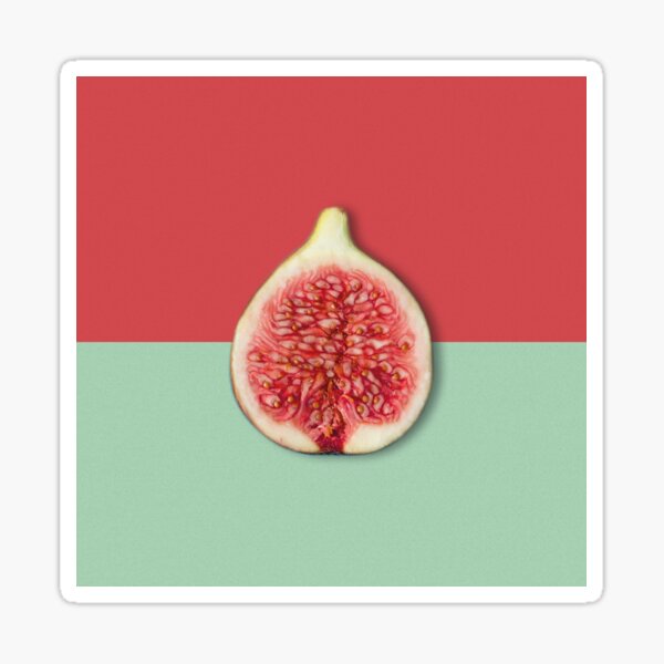 "fig" Sticker by juliatleao | Redbubble